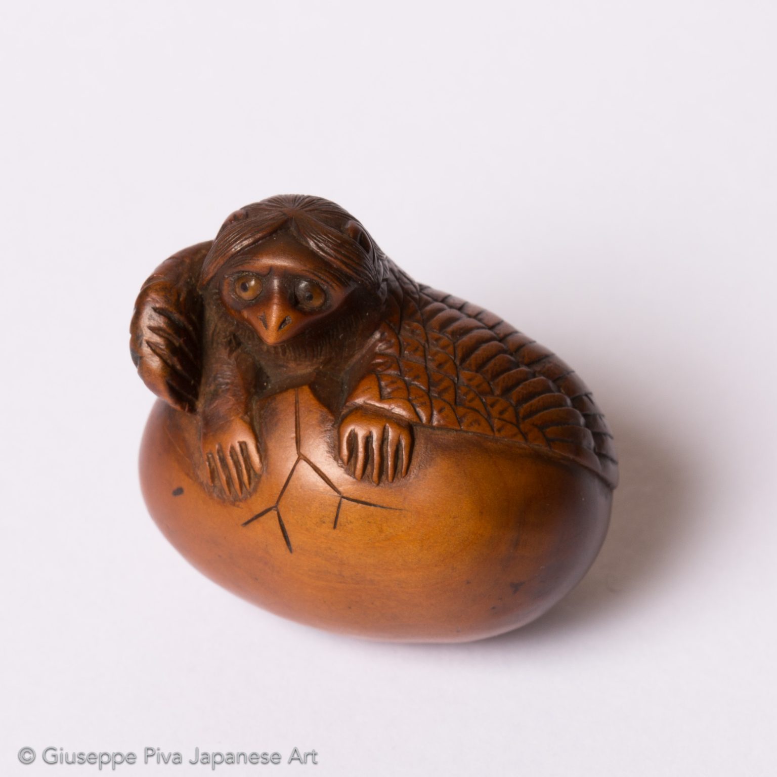 Wood netsuke of a "Tengu no tamago" | GIUSEPPE PIVA - Japanese Art